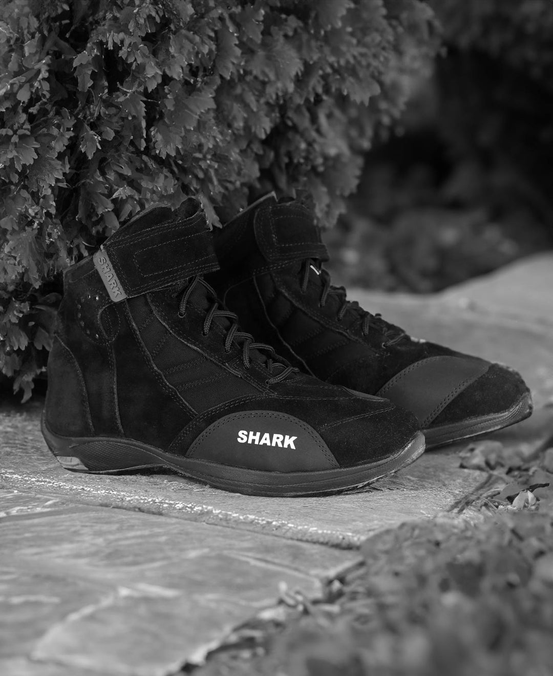 Shark Leathers & Accessories
